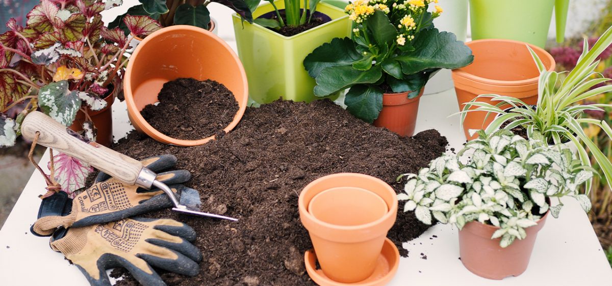 RAL-gütegesicherte Blumenerden für Ihre Pflanzen - ggs