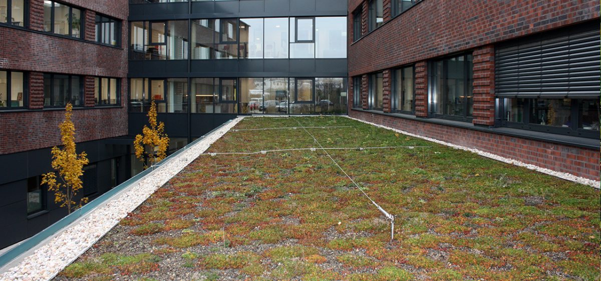 Substrates for green roofs - GGS