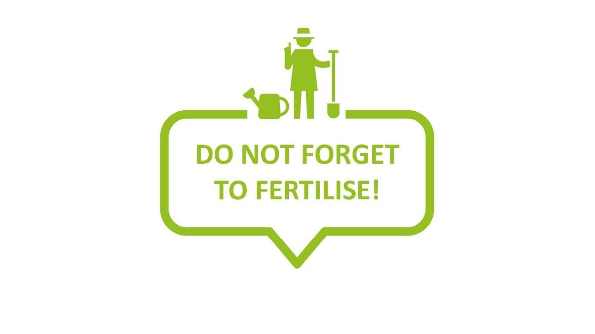 How to fertilise plants - when, how often and with what? | GGS